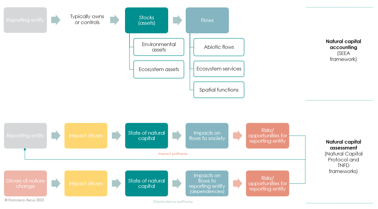 Accounting vs Assessment | Natural Capital Measurement Catalogue